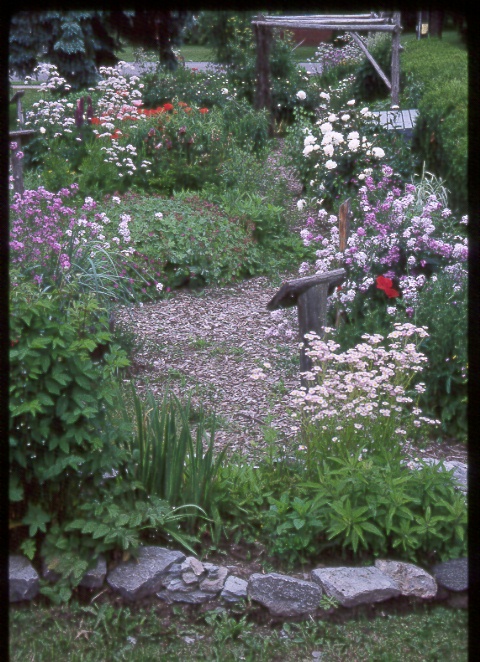 5.The Port Hope Ecology Garden